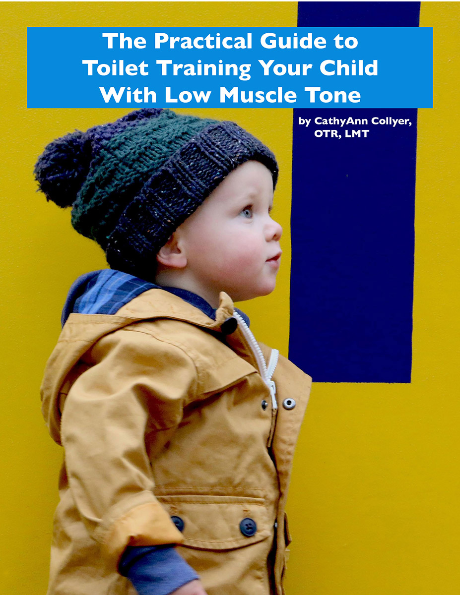 The Practical Guide to Toilet Training Your Child With Low Muscle Tone ...